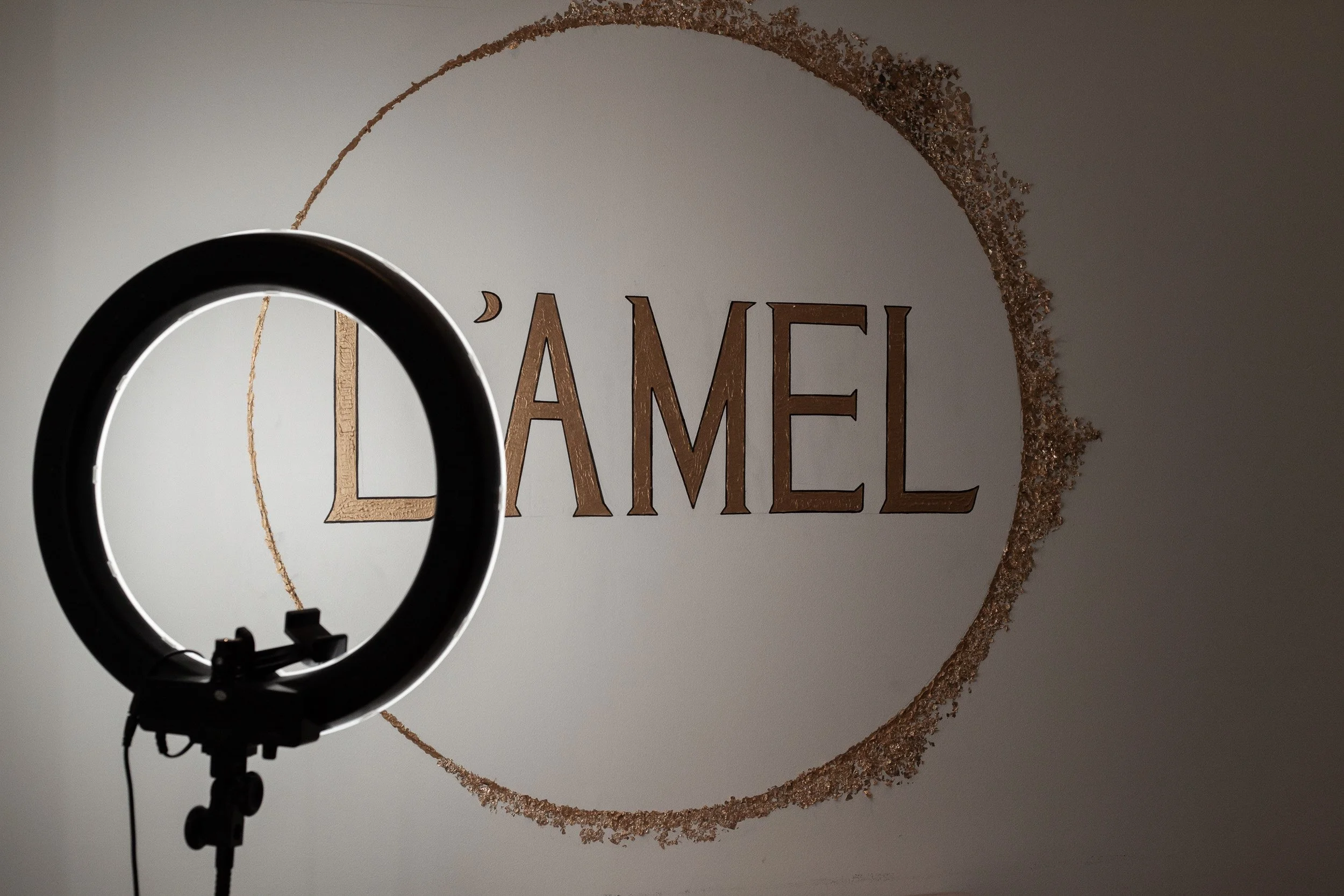 Contact us — L'AMEL