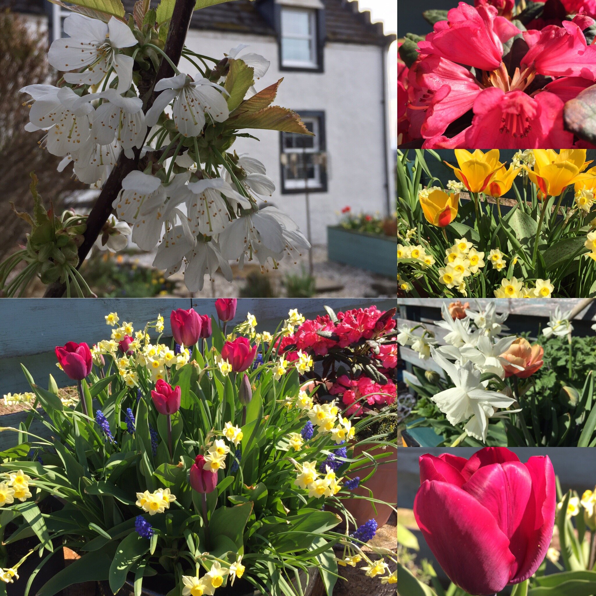 Eddrachilles in Sutherland | by Scourie