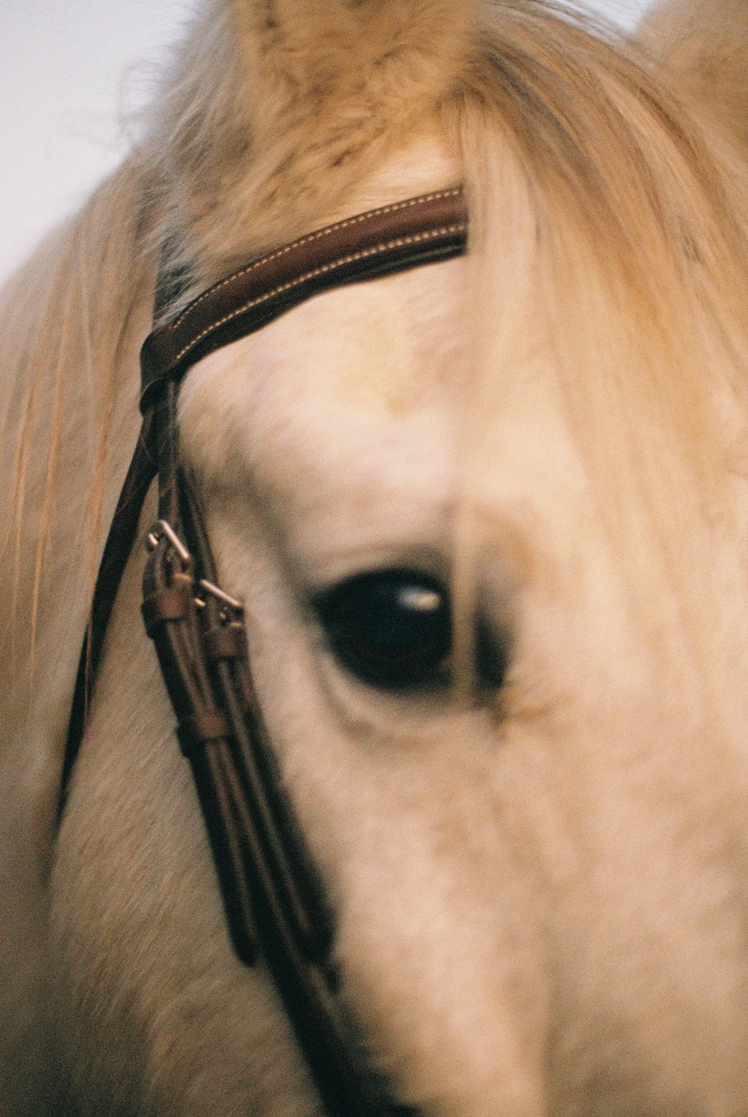 Robb Klassen Photography