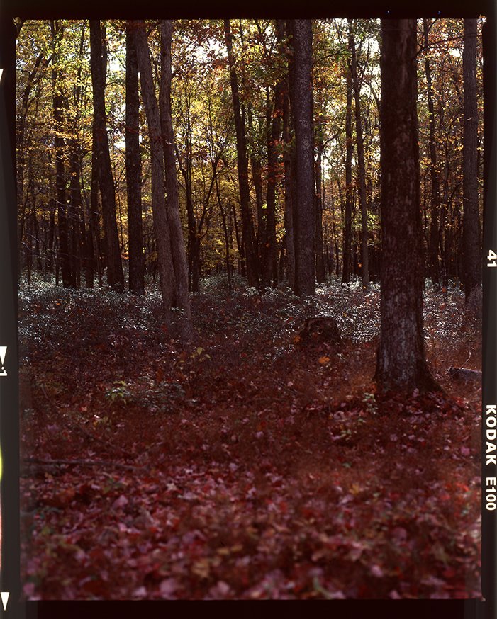 Robb Klassen Photography