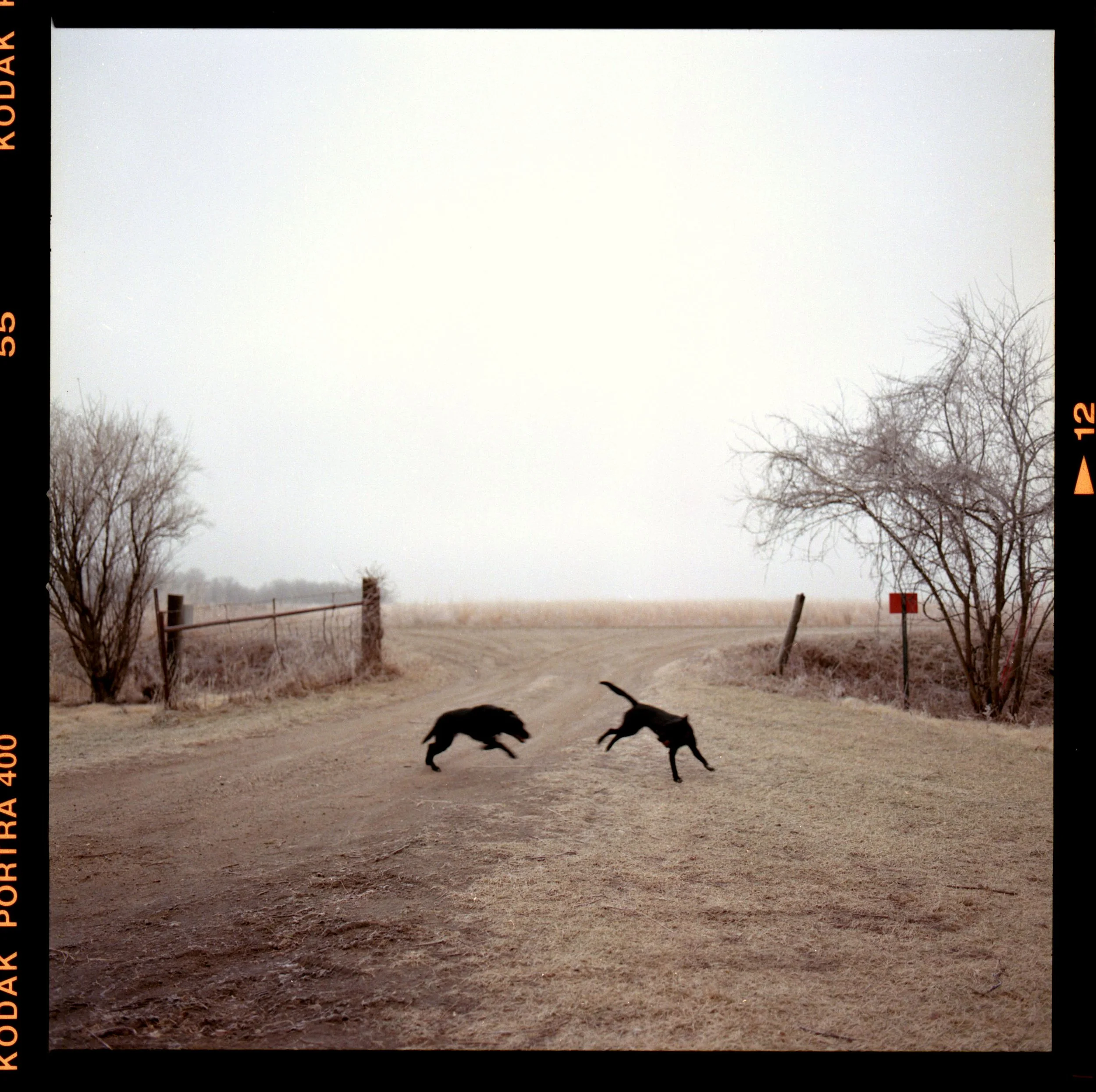 Robb Klassen Photography