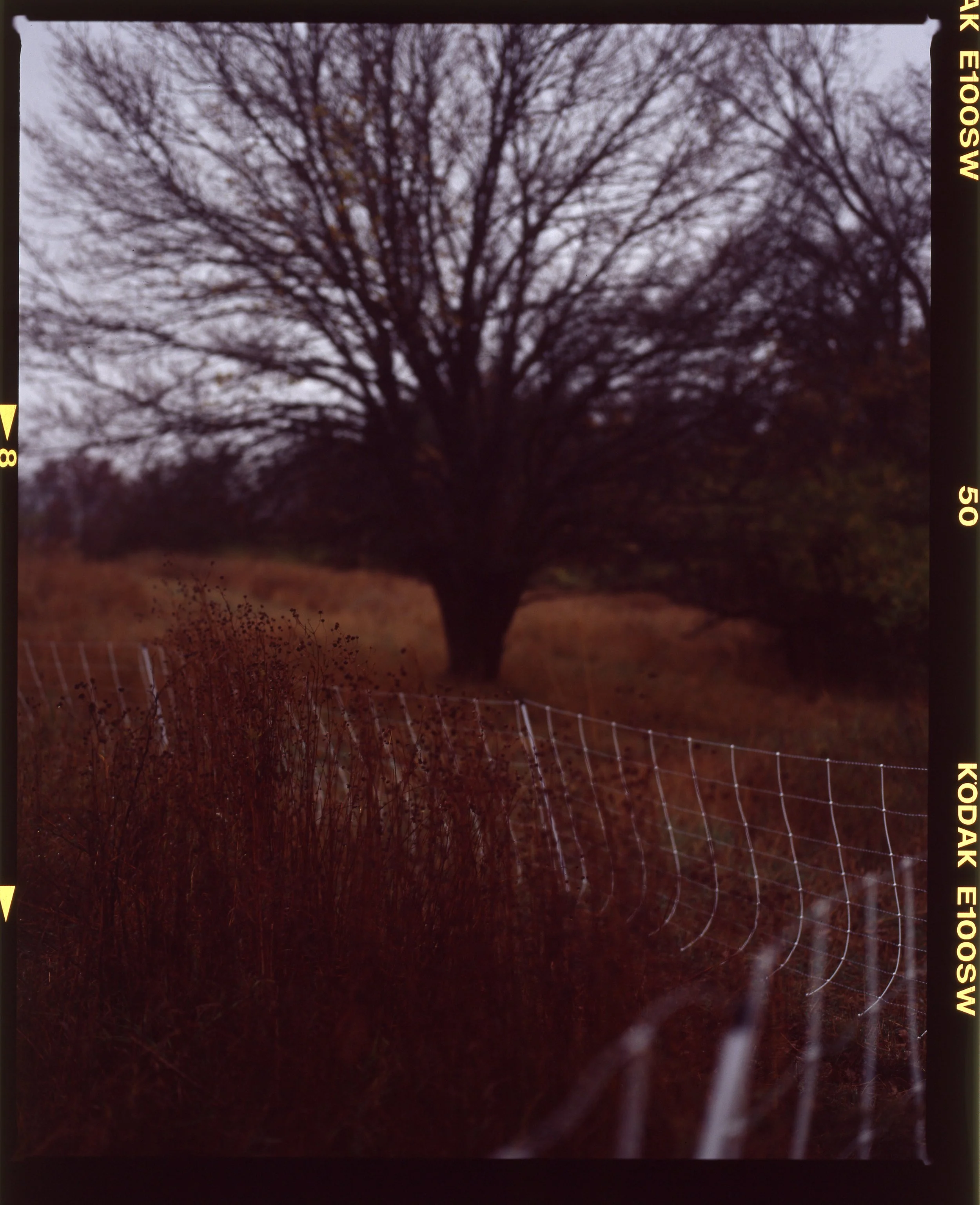 Robb Klassen Photography