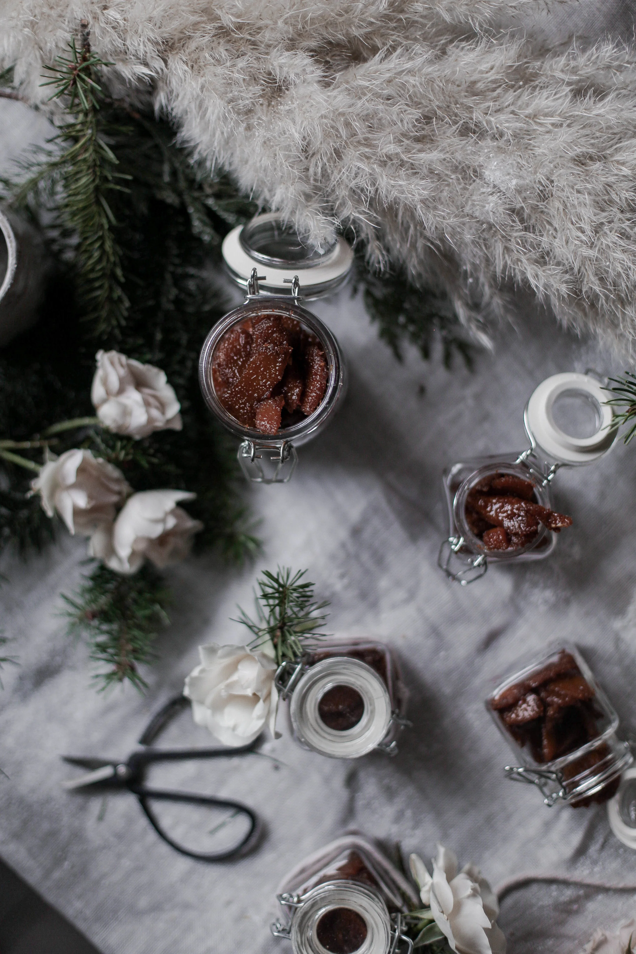 sugared ginger: a homemade christmas gift idea — L | E