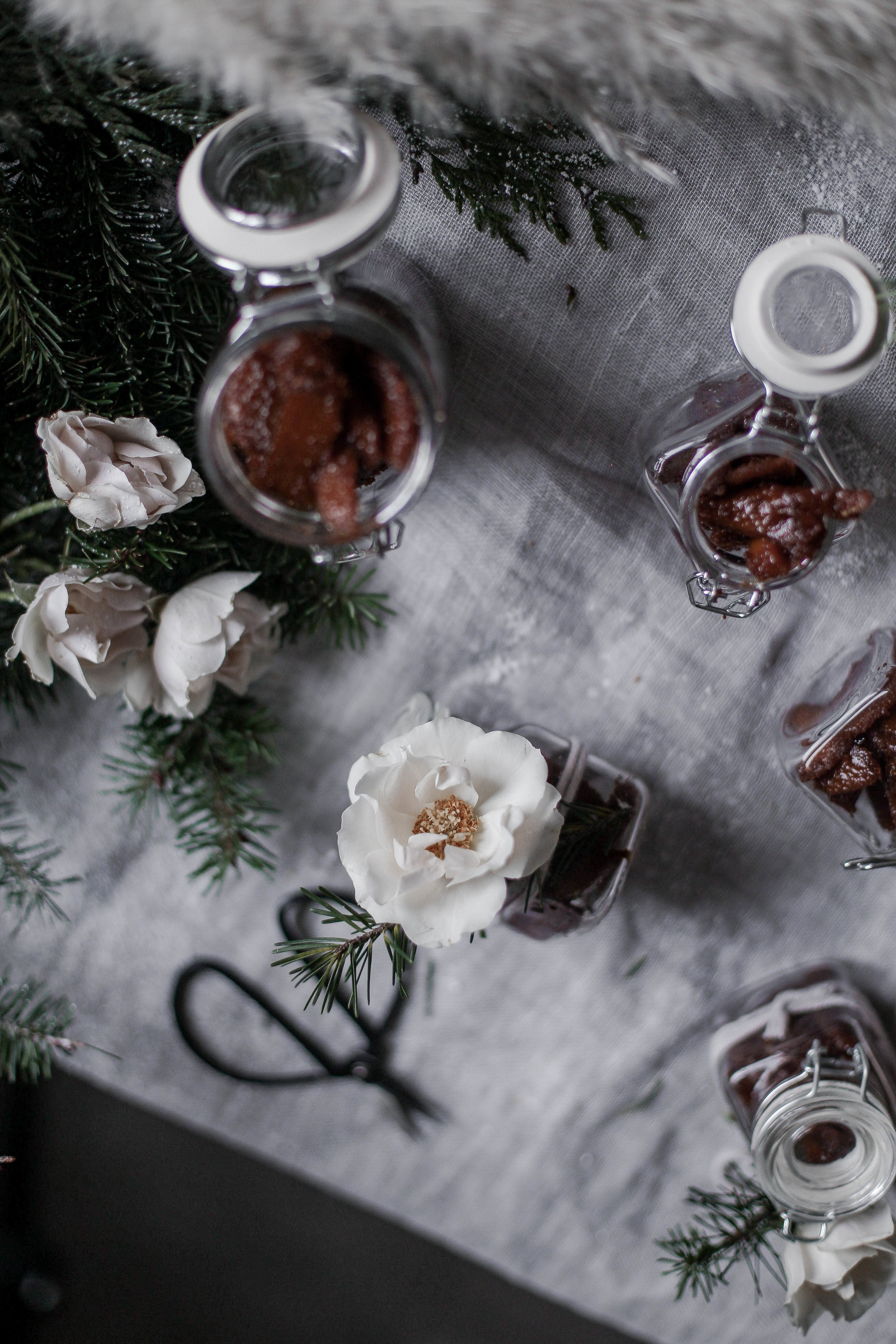 sugared ginger: a homemade christmas gift idea — L | E