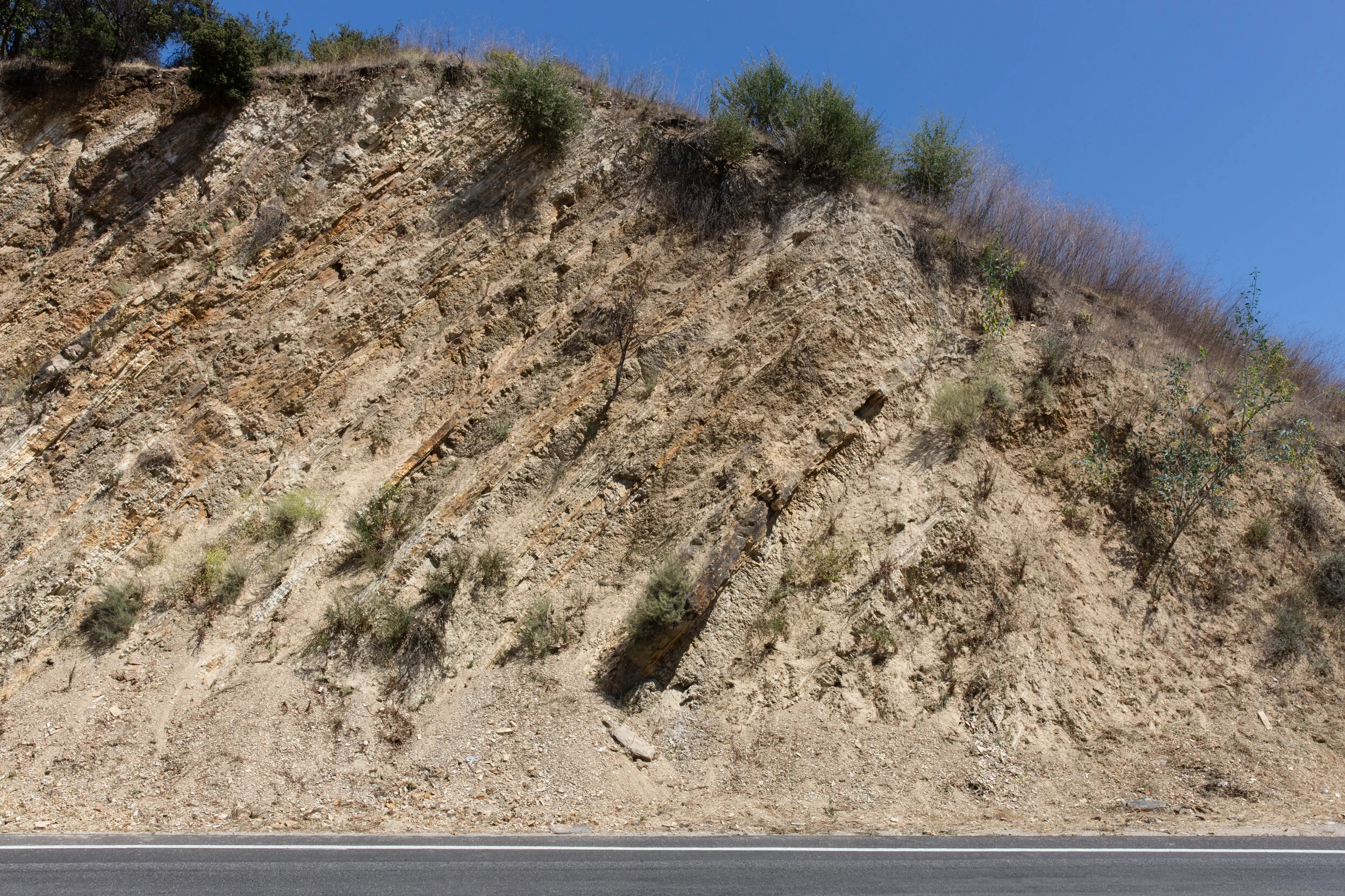 About — Thomas Gavin