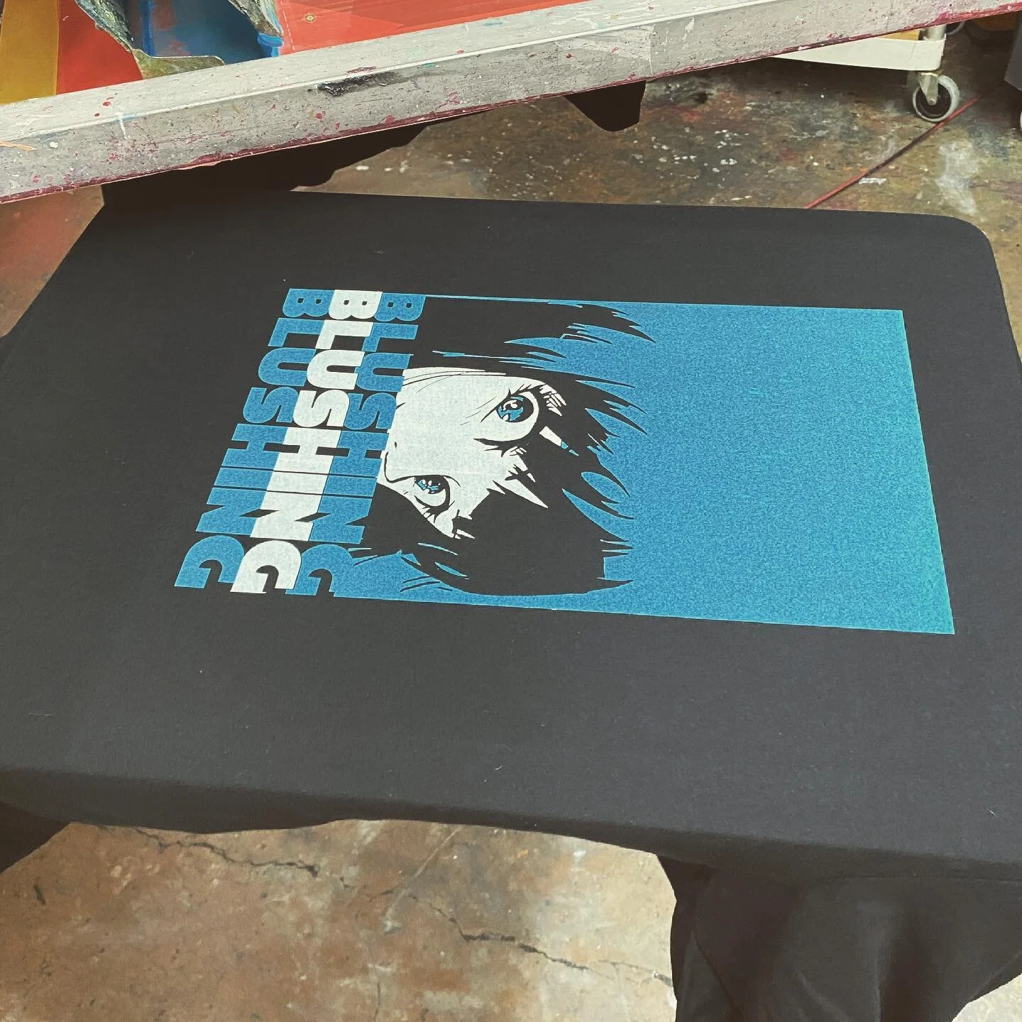 Custom t shirt and promotional item Printing Services