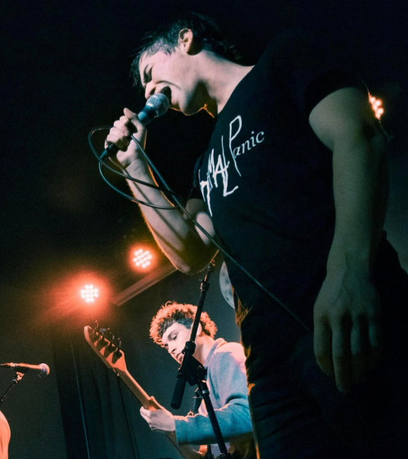 Animal Panic on their new album, getting signed to a label and ...