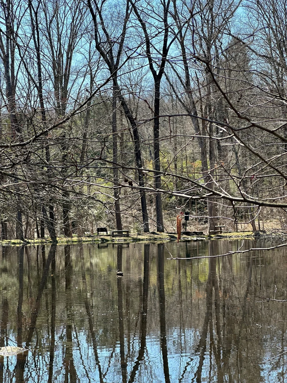 Pond Exploration — Bartlett Arboretum & Gardens