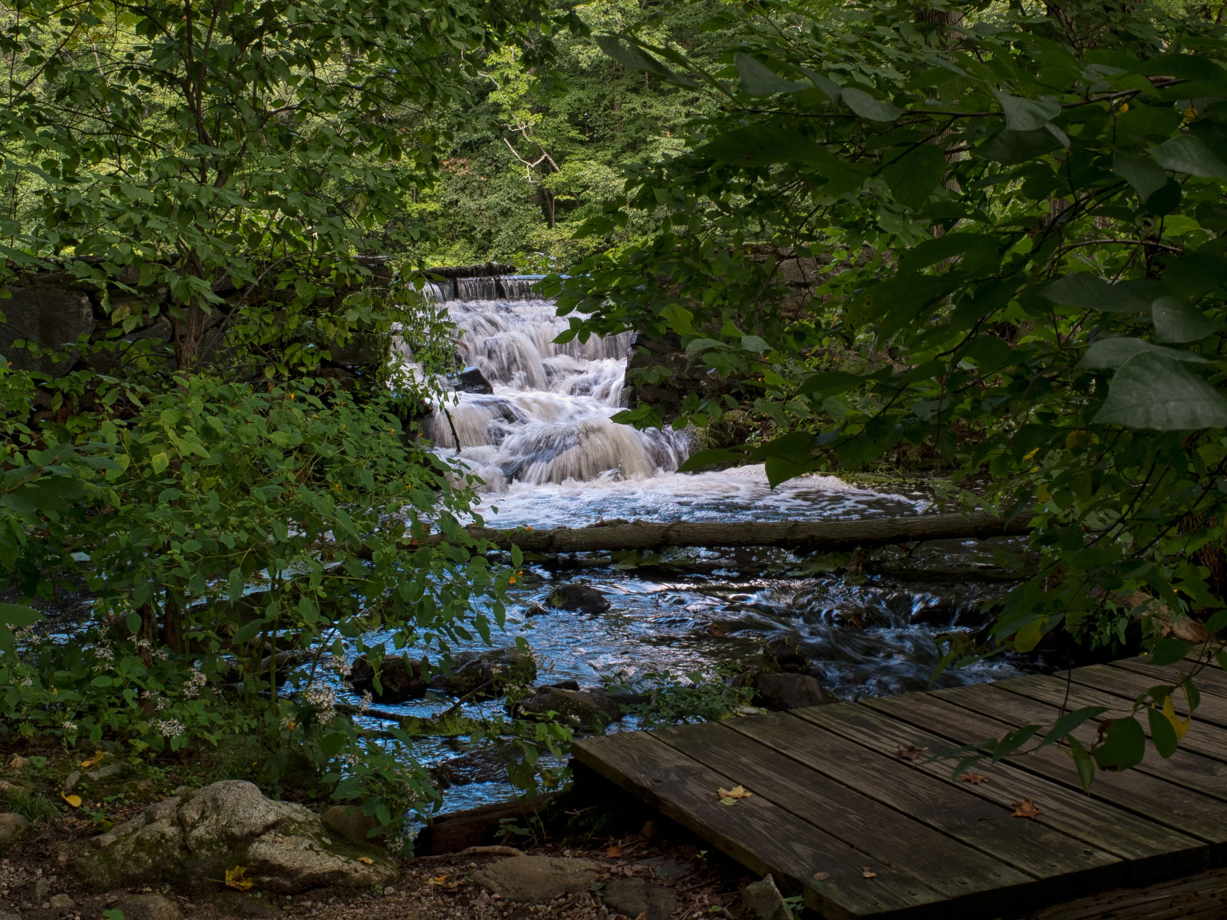 Plan a Visit — Bartlett Arboretum & Gardens