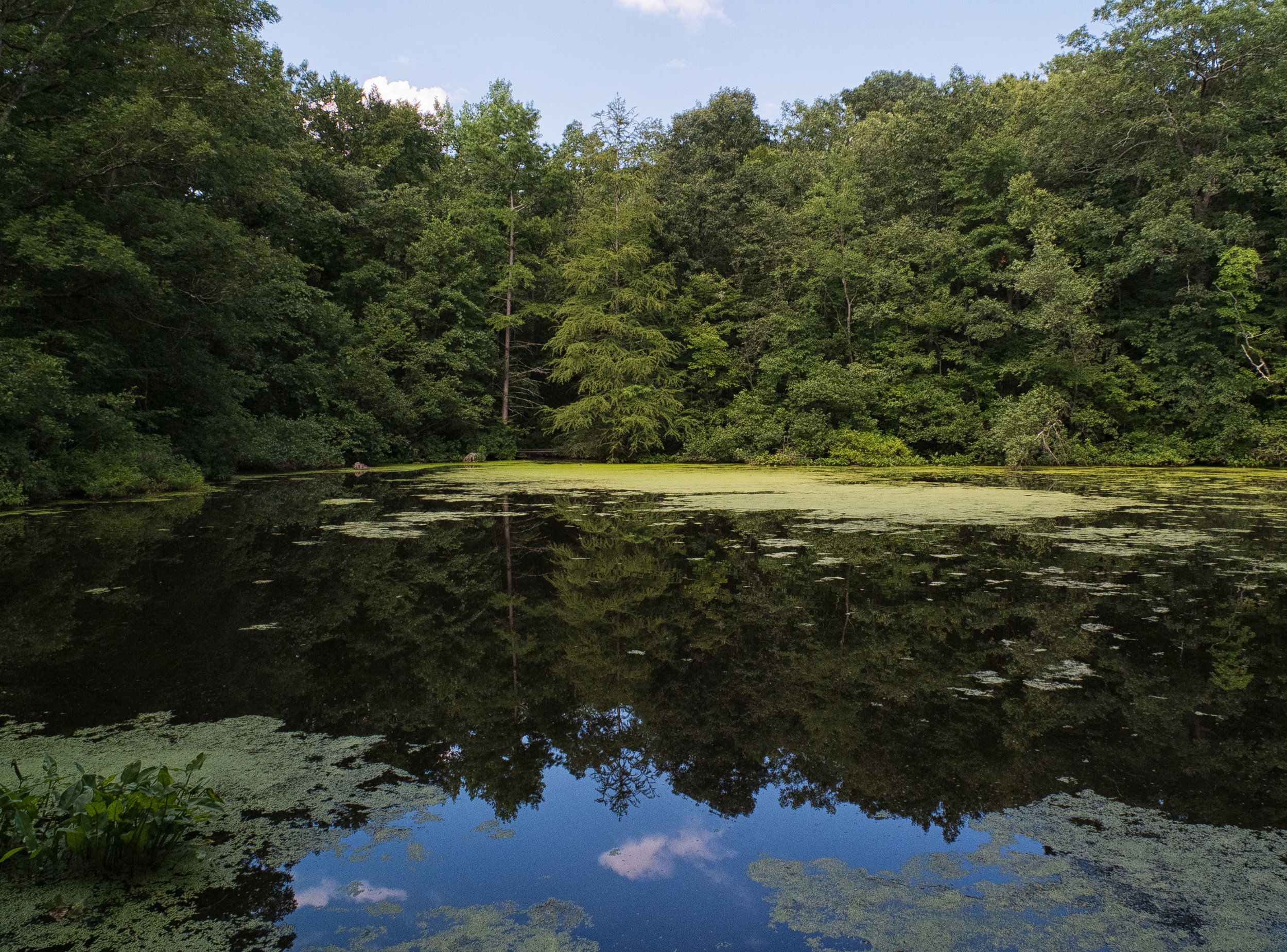 Plan a Visit — Bartlett Arboretum & Gardens