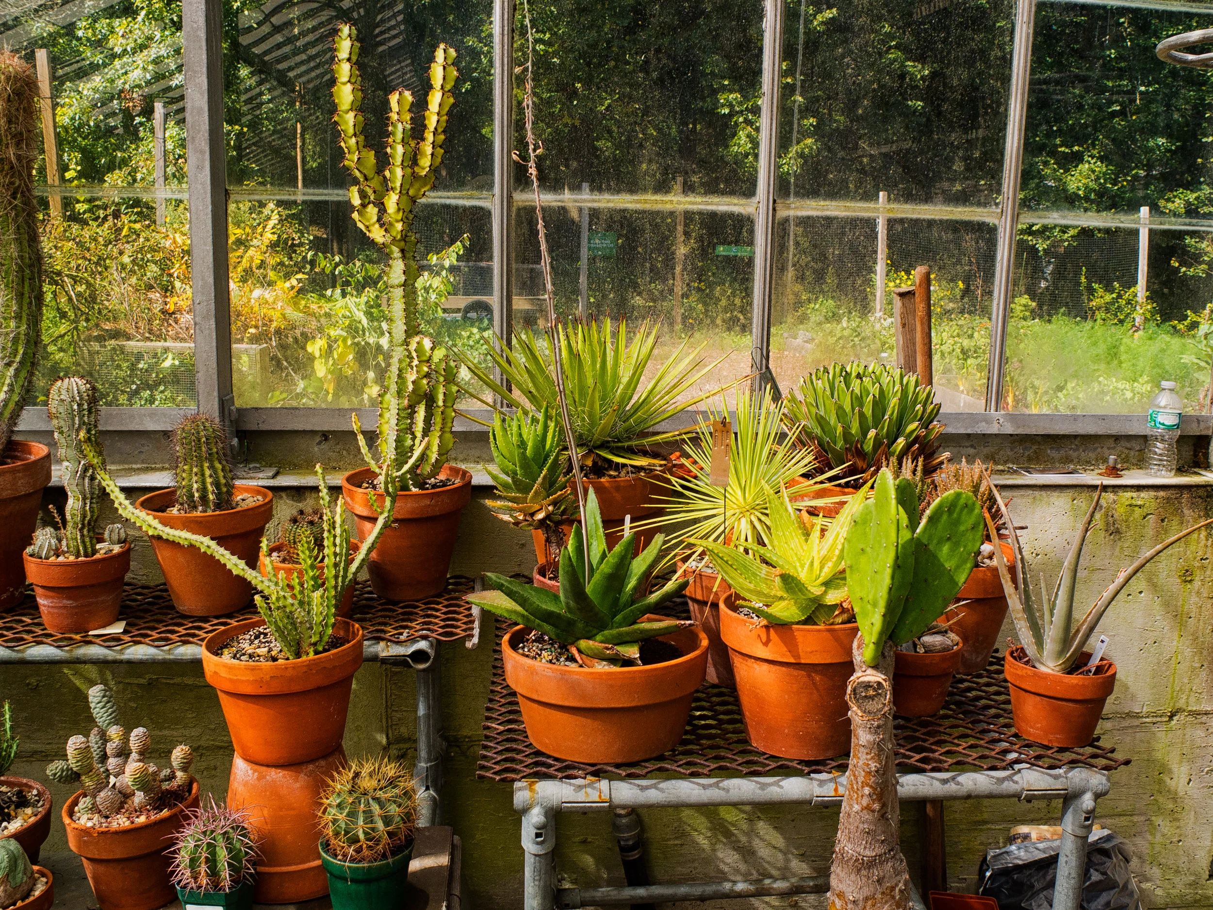 Plan a Visit — Bartlett Arboretum & Gardens