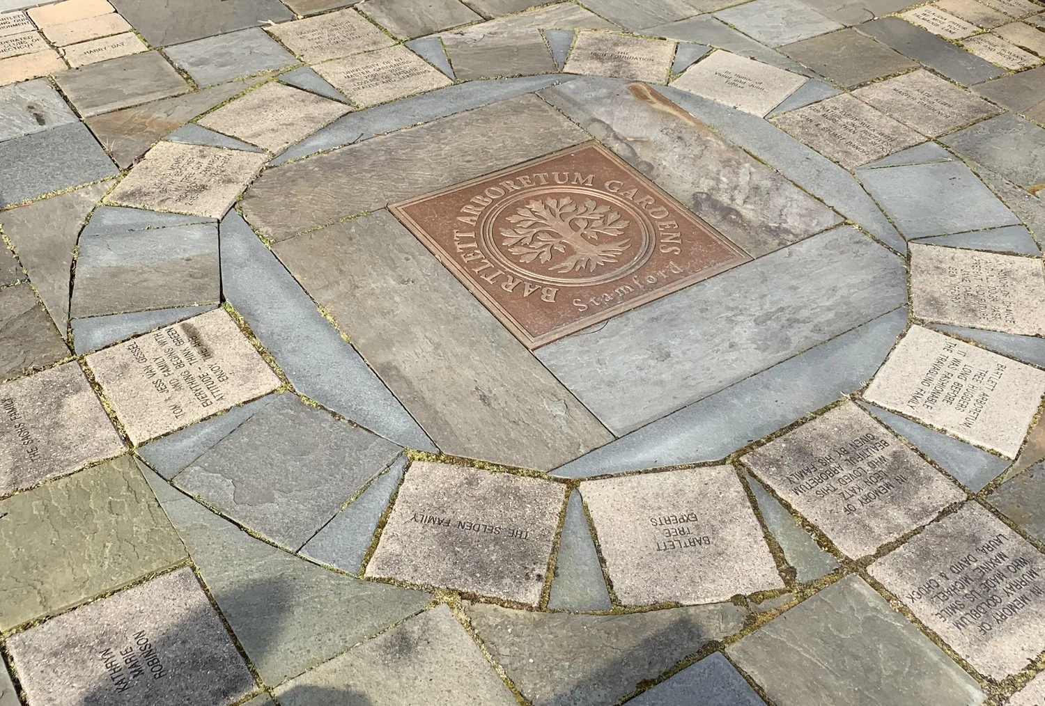 Tribute Benches, Trees, and Bricks — Bartlett Arboretum & Gardens