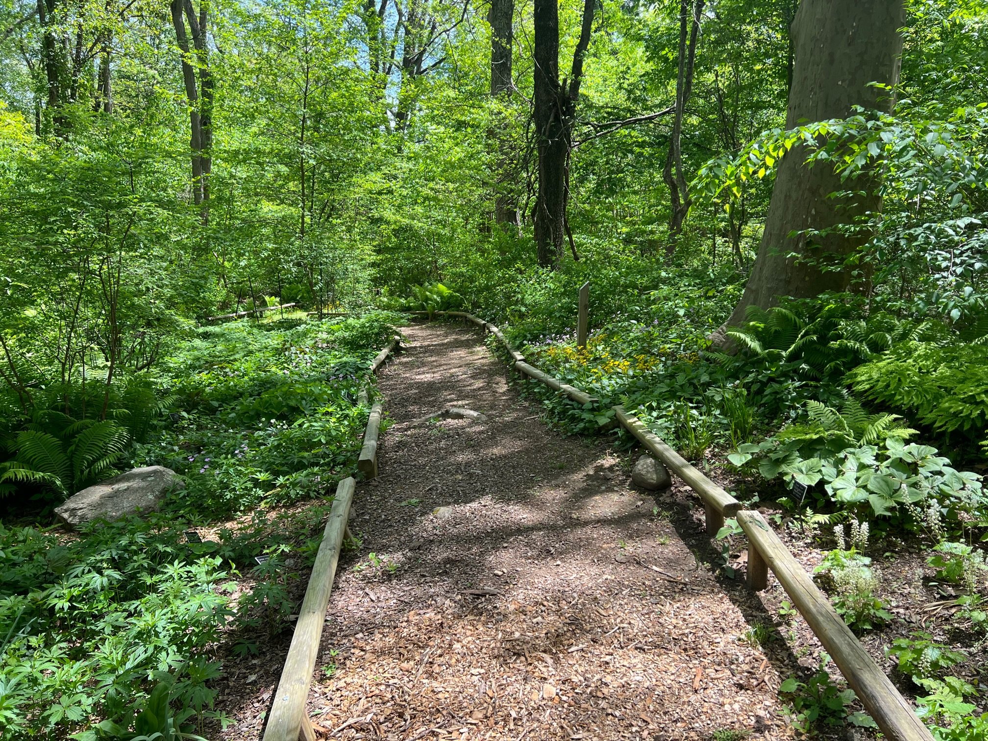 Our Collections — Bartlett Arboretum & Gardens