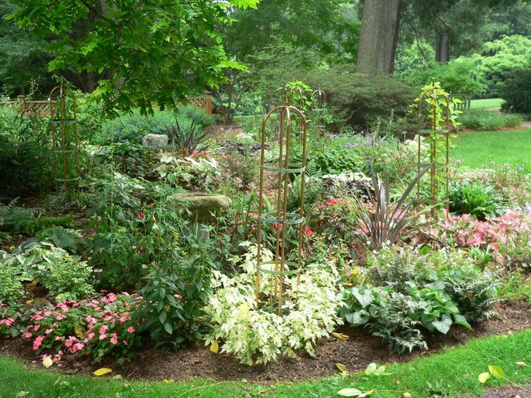 Our Collections — Bartlett Arboretum & Gardens