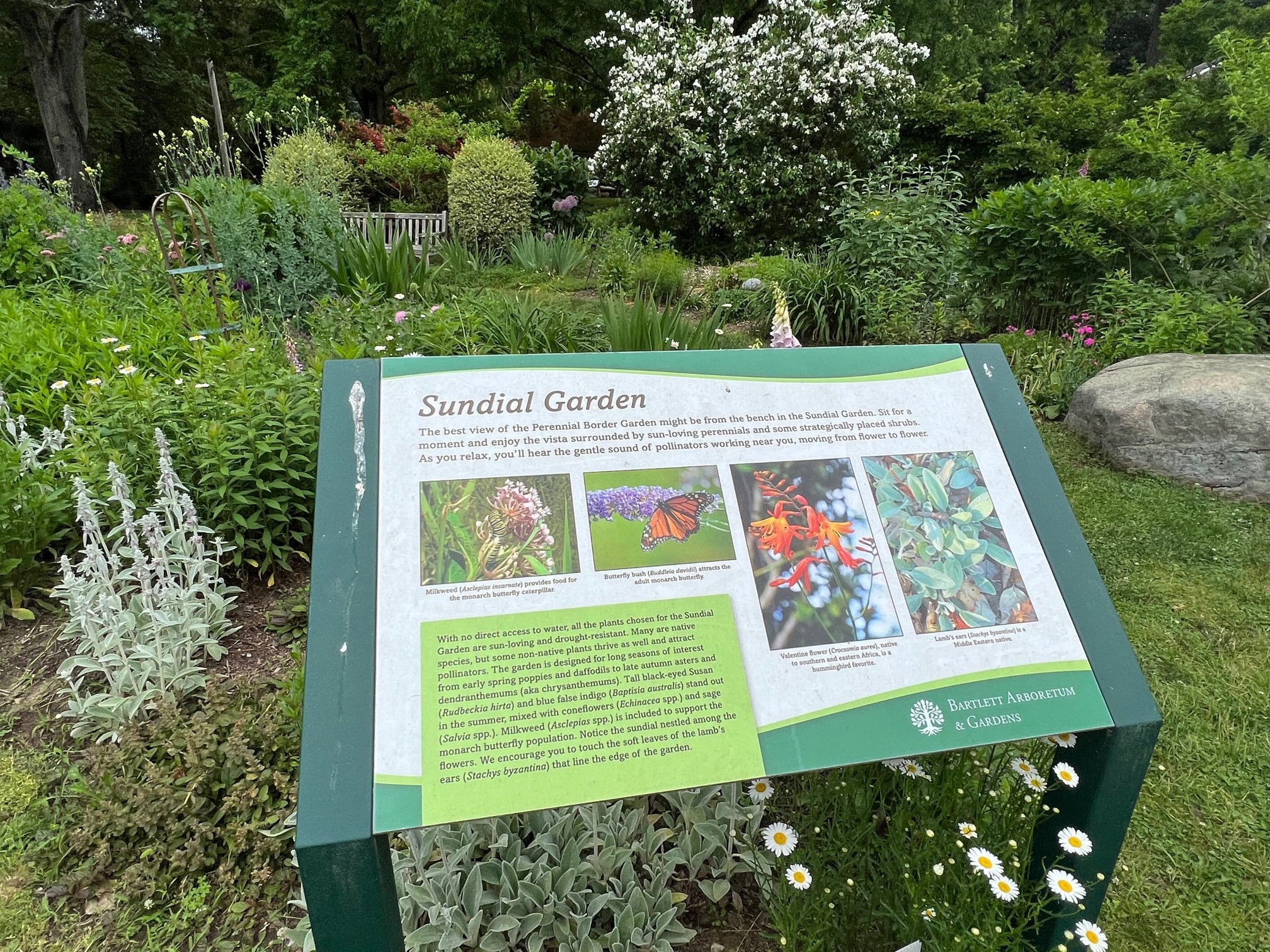 Our Collections — Bartlett Arboretum & Gardens