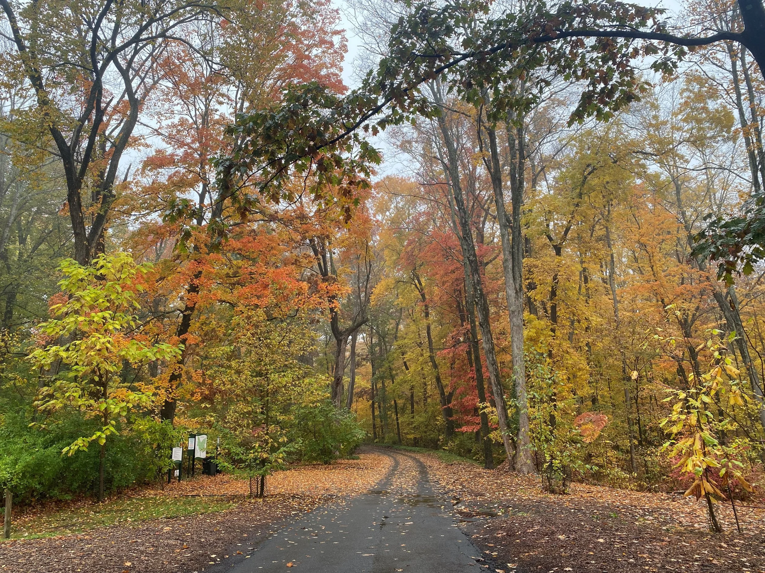 Bartlett Arboretum & Gardens
