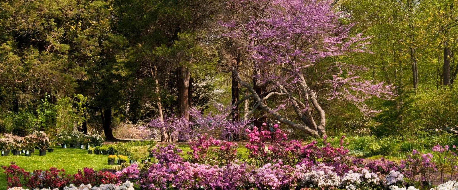 UConn Extension Master Gardener Program — Bartlett Arboretum & Gardens