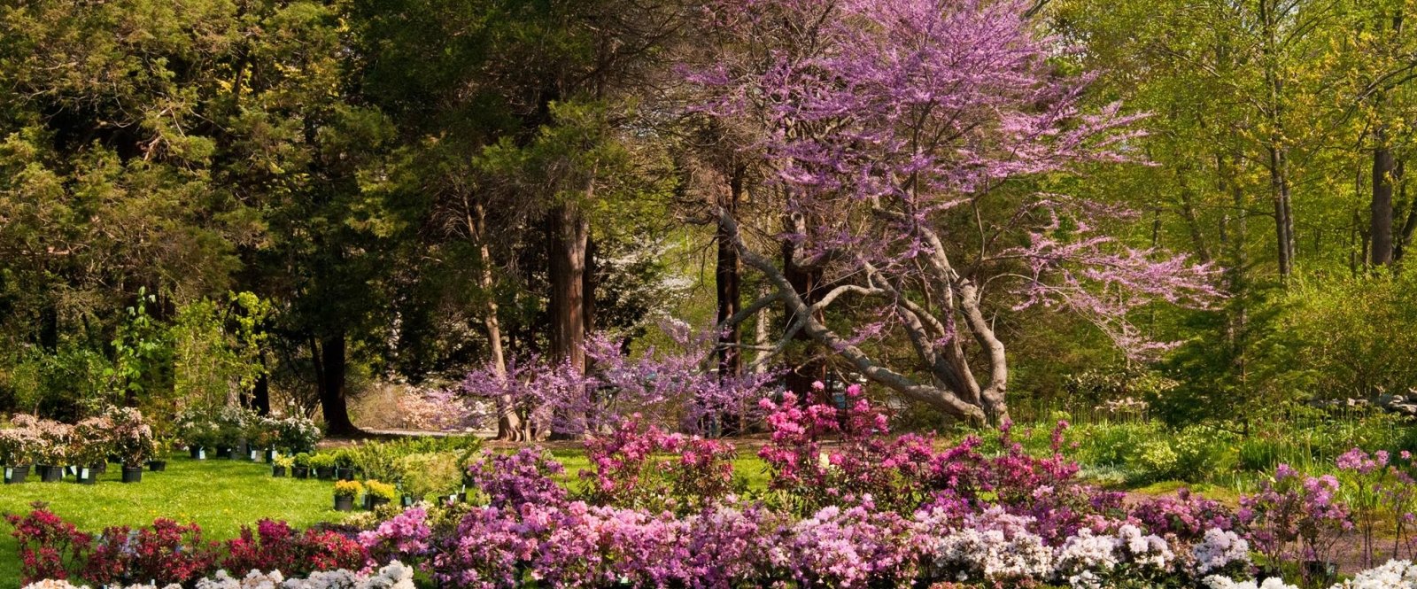 Support — Bartlett Arboretum & Gardens