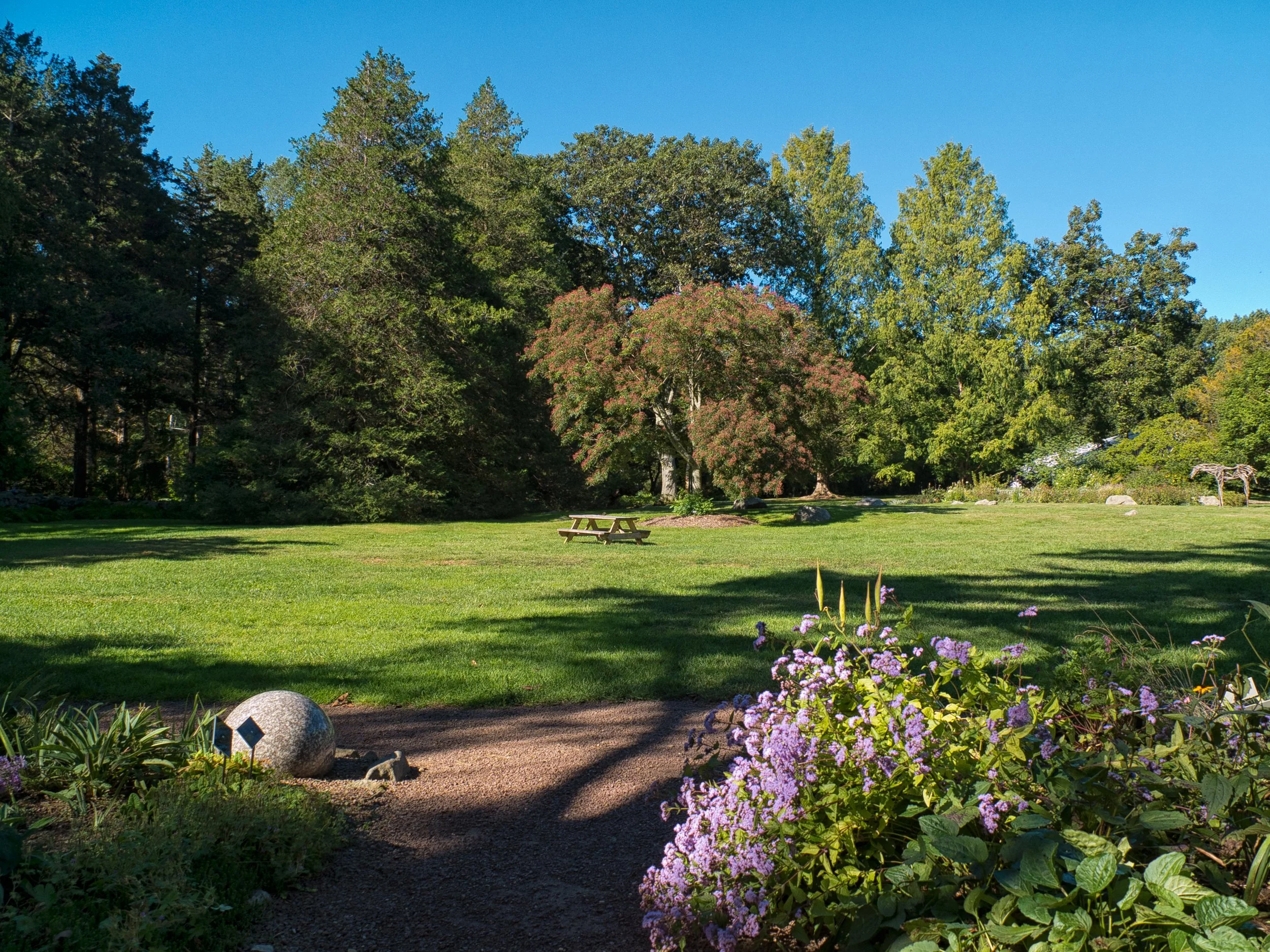 Plan a Visit — Bartlett Arboretum & Gardens