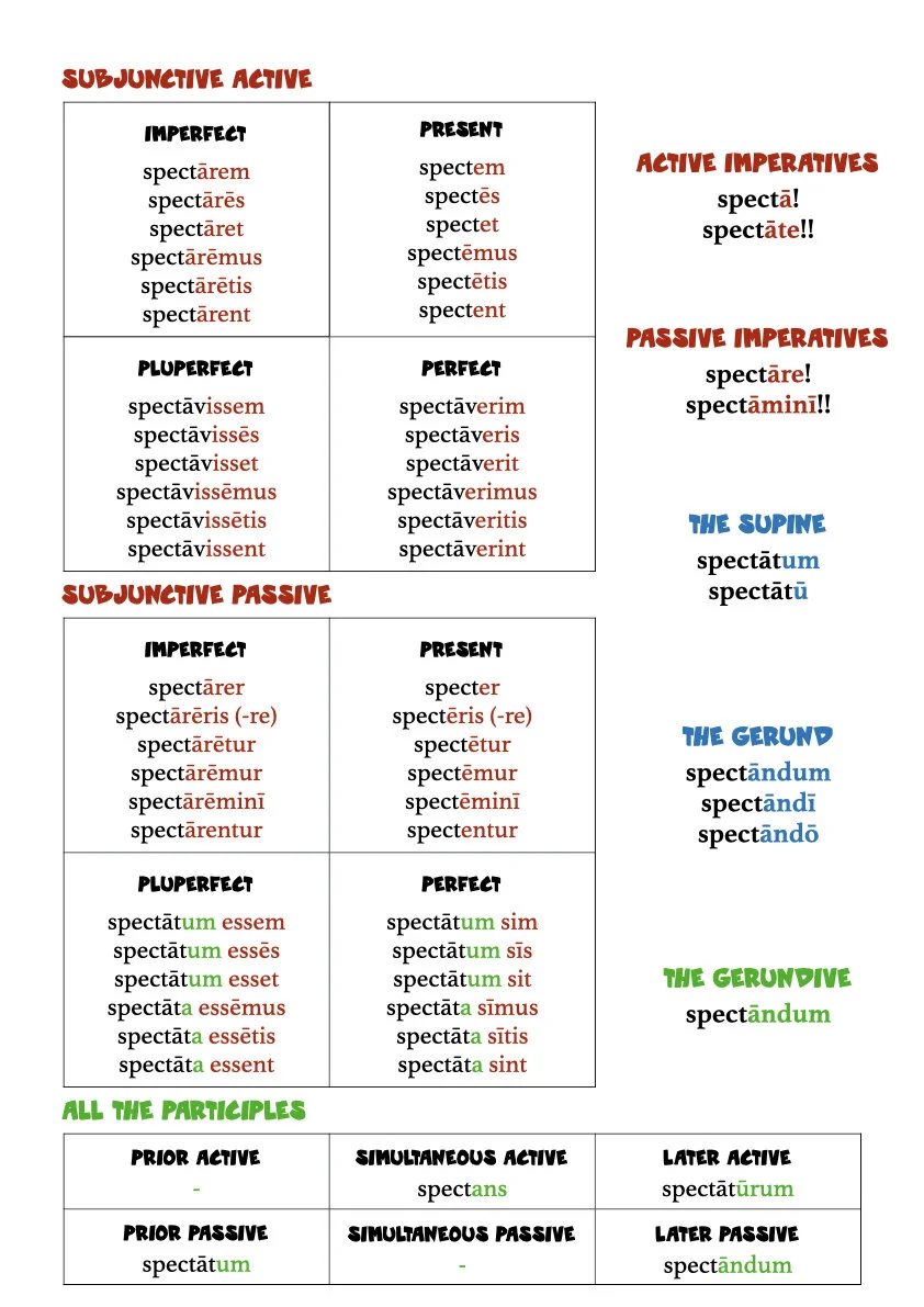 Latin Verb Declension Chart Latin Active Verb Flowcharts By Hannah