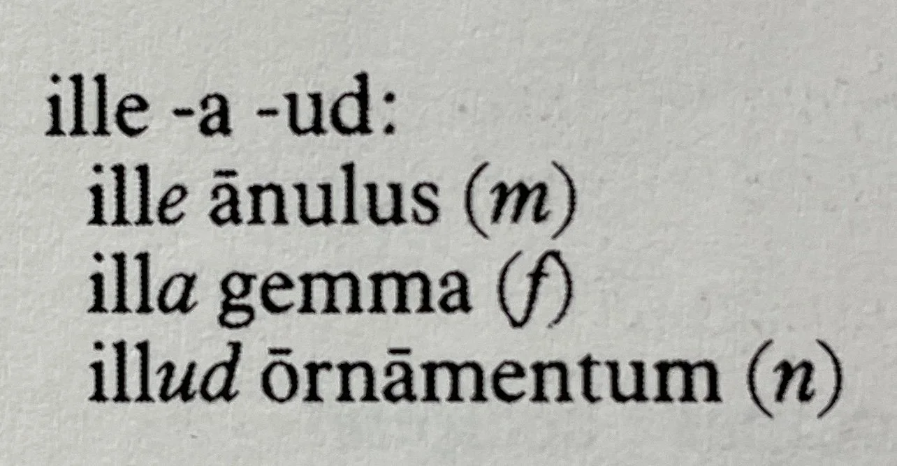Learn Latin Here — Legonium