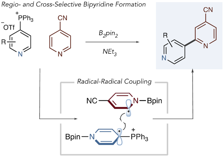 Publications - McNally Group