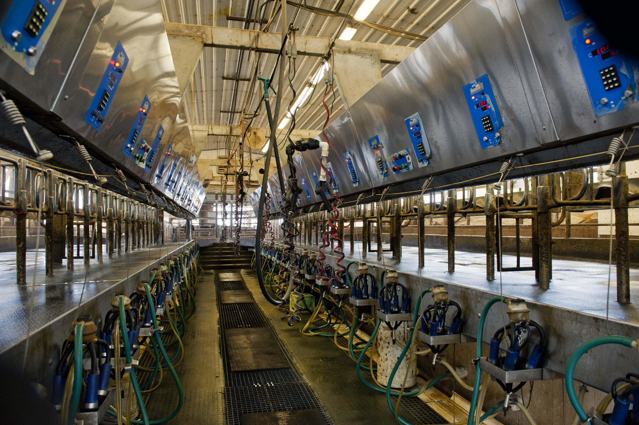 Changing Times: North Country Dairy Farmers Tell Their Stories — Weave News