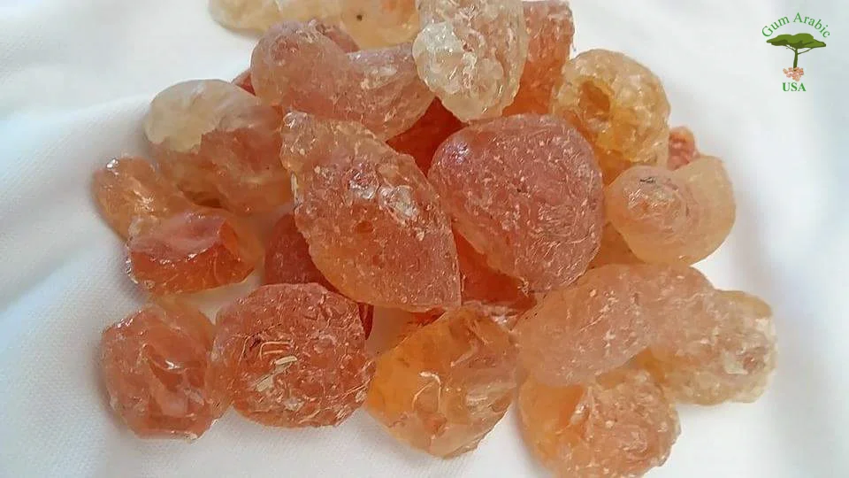 Acacia Senegal Powder — Gum Arabic USA | (202) 630-8738 | Rated #1 ...
