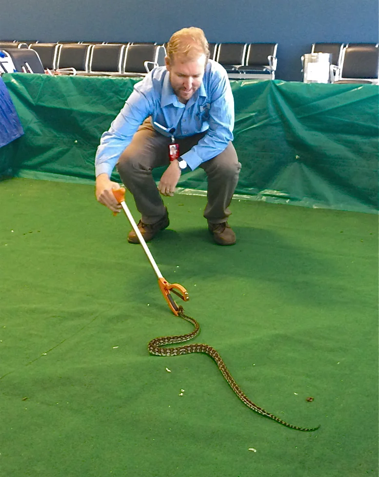 Wildlife Hazard Training with a Difference — The Runway Centreline