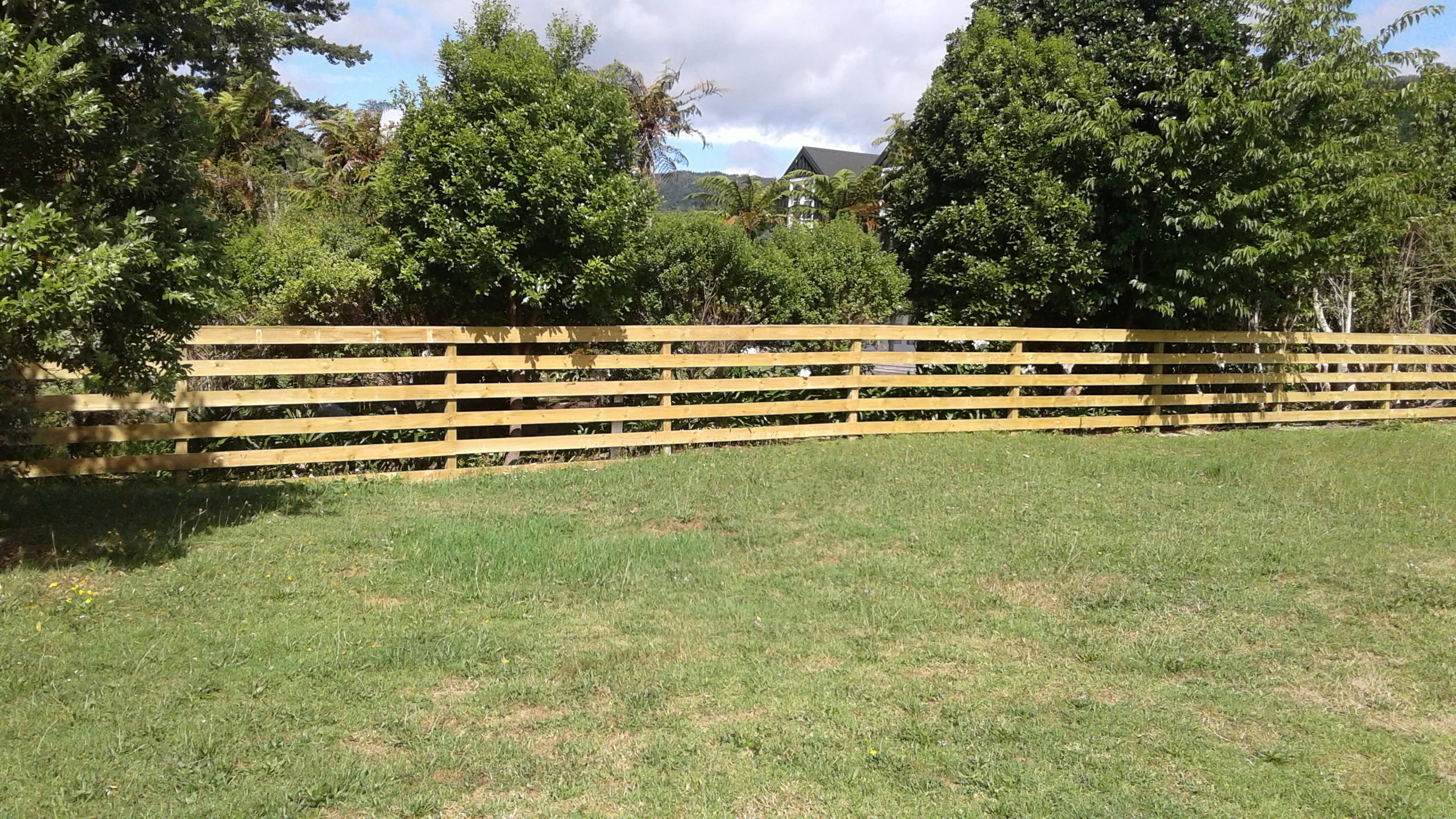 STEVE WILLIAMS FENCING