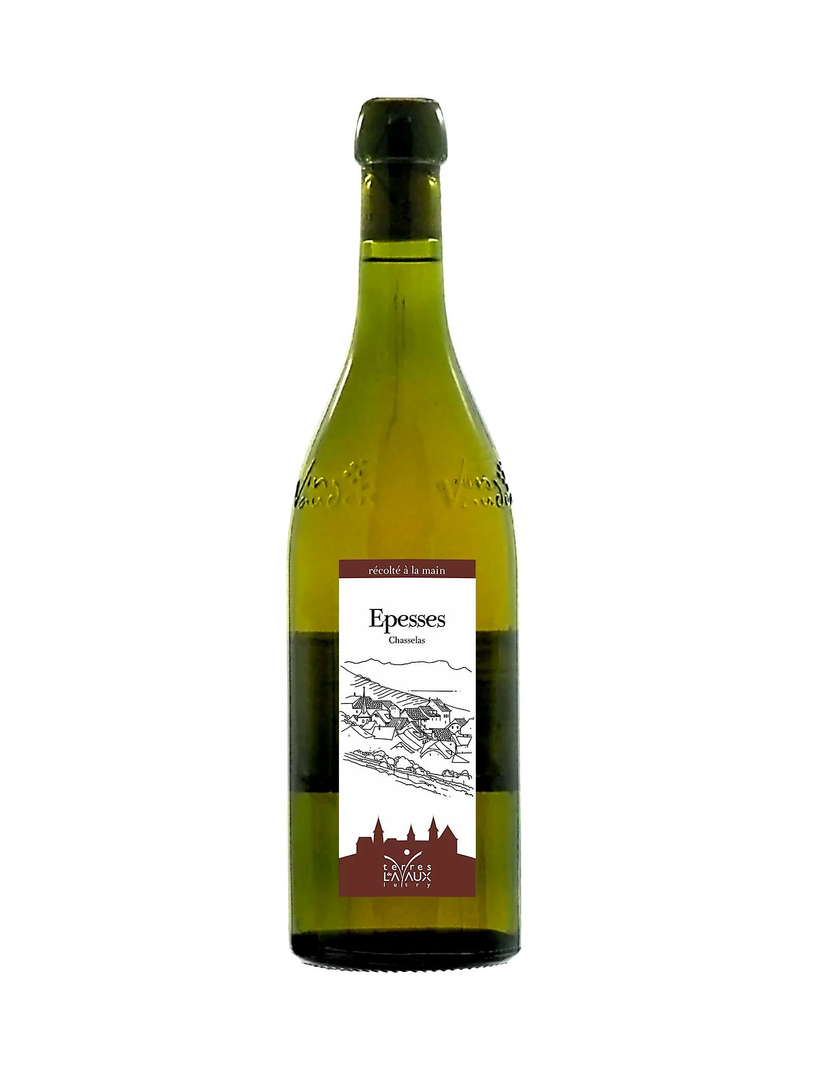 Discover the Lavaux Wines at Terres de Lavaux — Terres de Lavaux