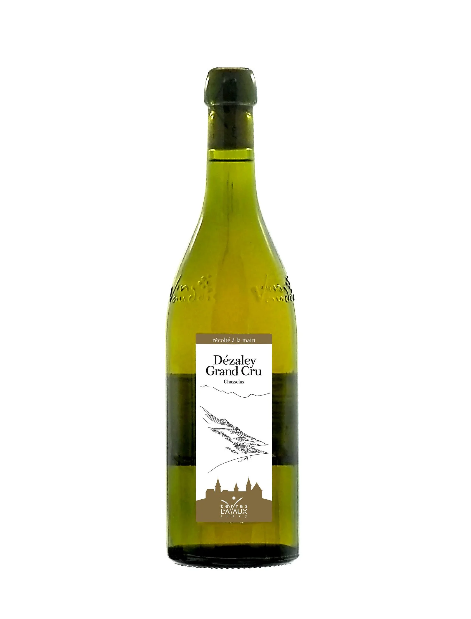 Discover the Lavaux Wines at Terres de Lavaux — Terres de Lavaux