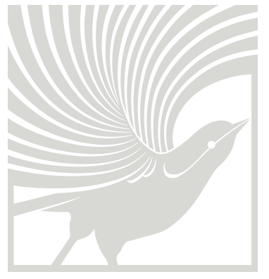 Dr. Shulamit Mor — Mor Centre