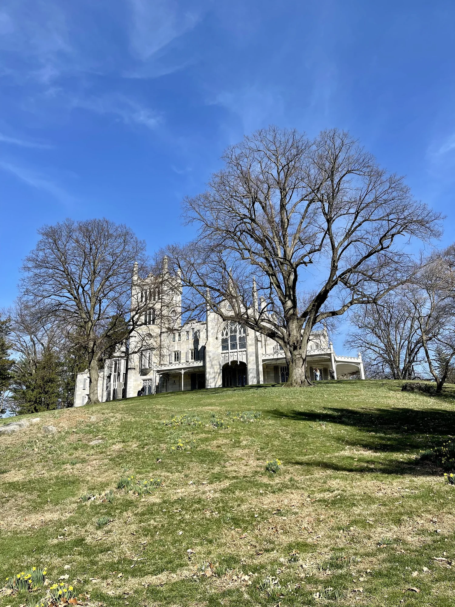 Spring Flower Show at Lyndhurst Mansion — CAPTURING LIFE'S MOMENTS