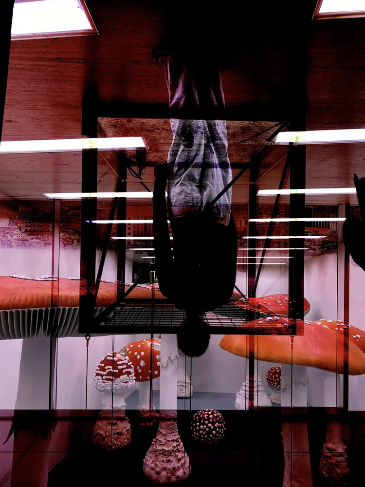 Interview with Natalie Egger — Contemporary Art Curator Magazine