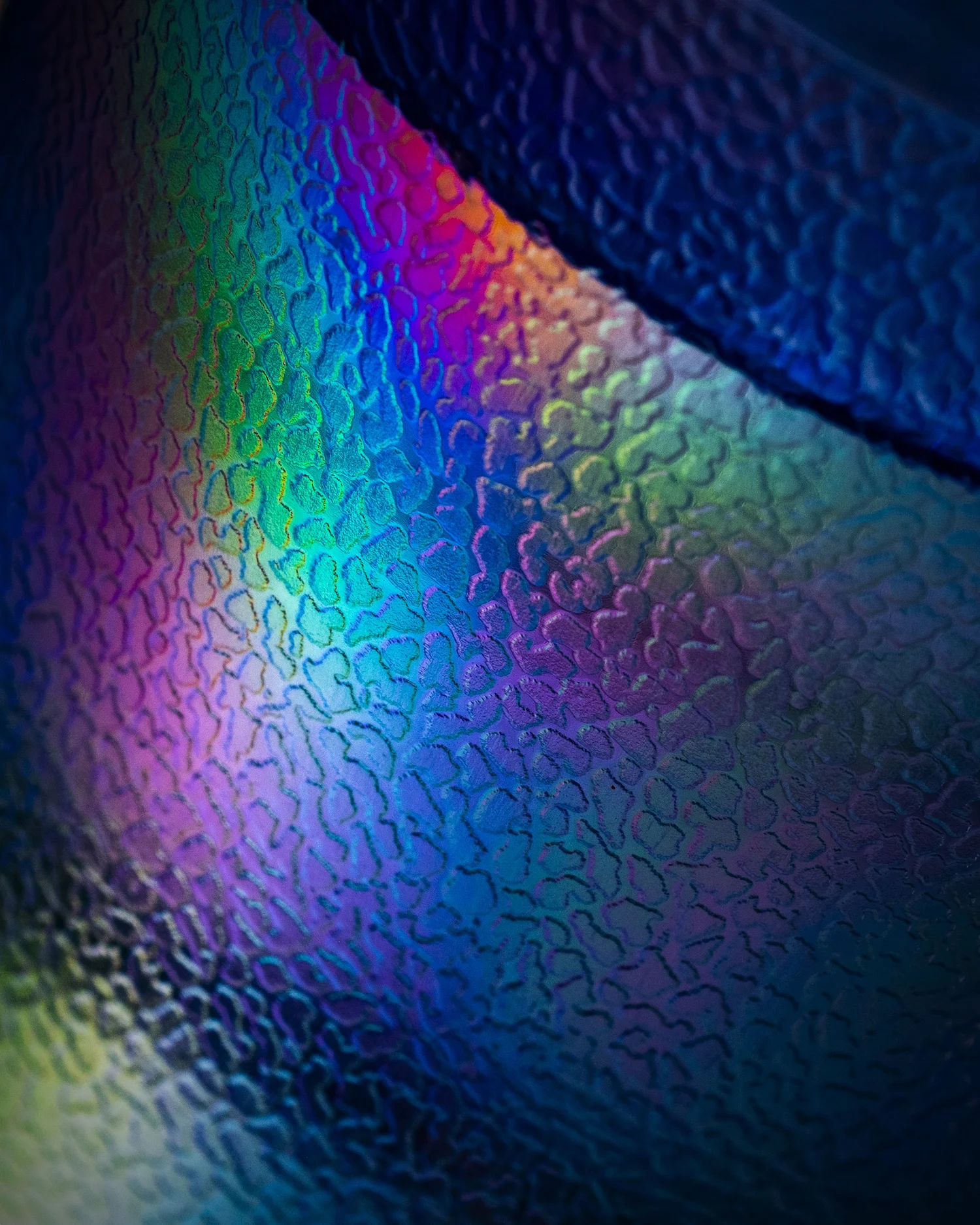 Interview with Susan Platt — Contemporary Art Curator Magazine