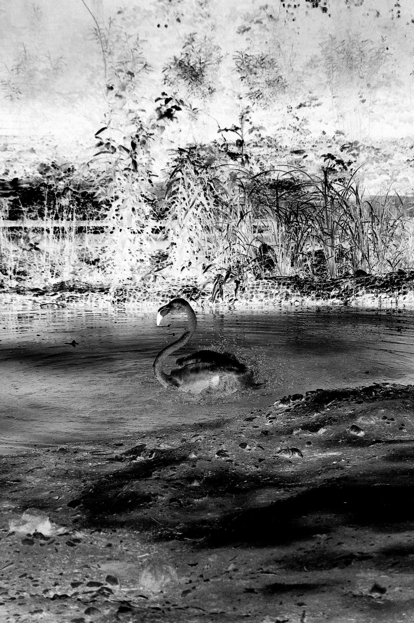 Interview with Katrin Loy — Contemporary Art Curator Magazine