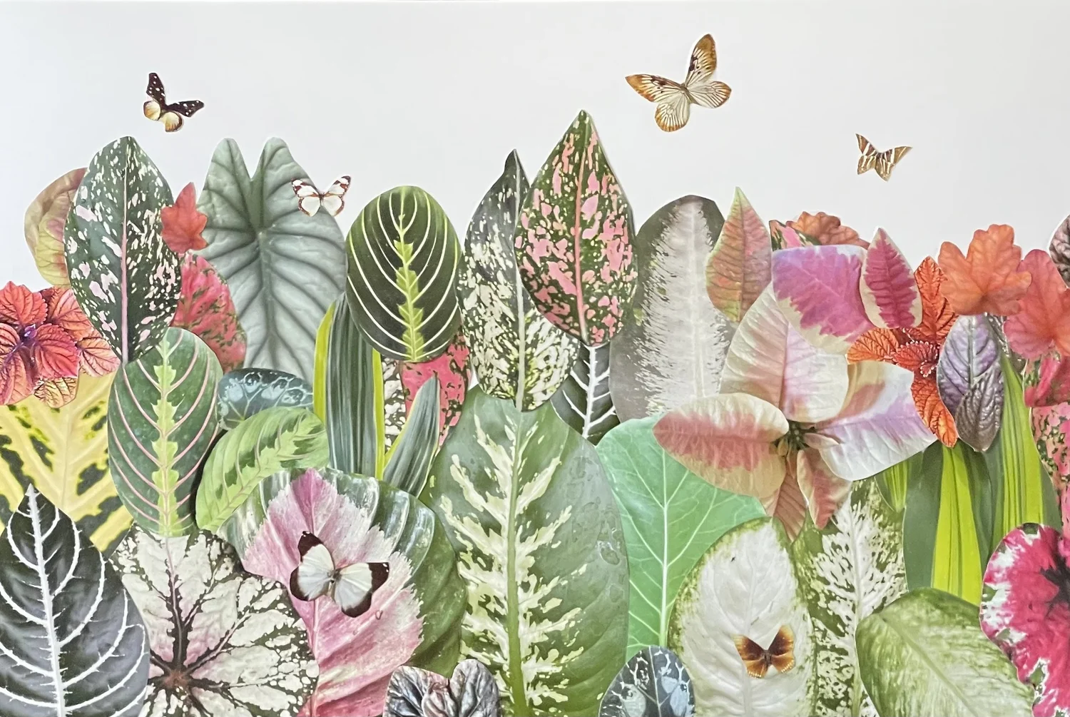 Interview with Kat Kleinman — Contemporary Art Curator Magazine