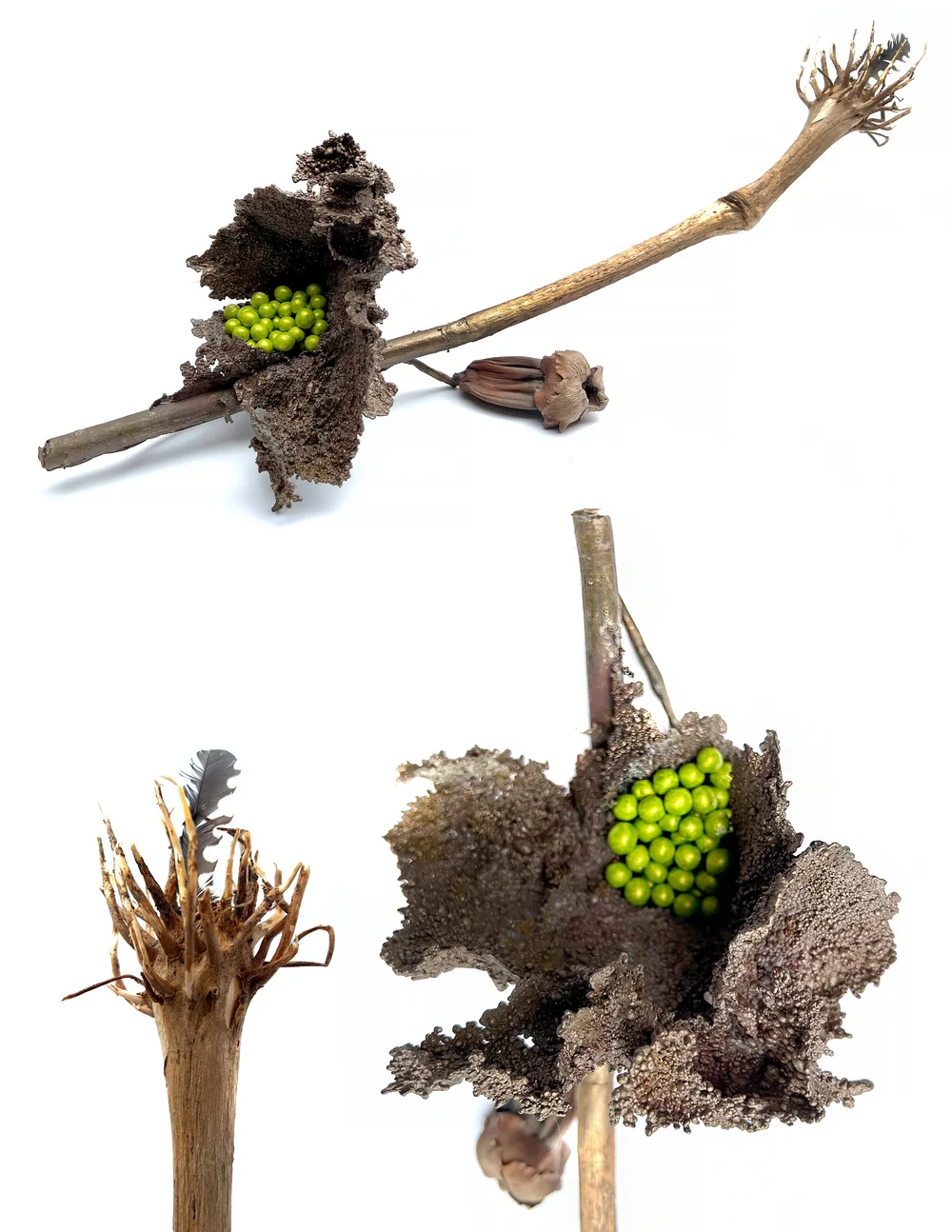 Dina Torrans — Contemporary Art Curator Magazine