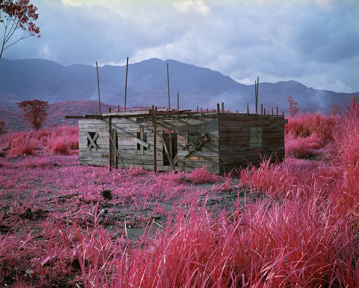 Richard Mosse — Contemporary Art Curator Magazine