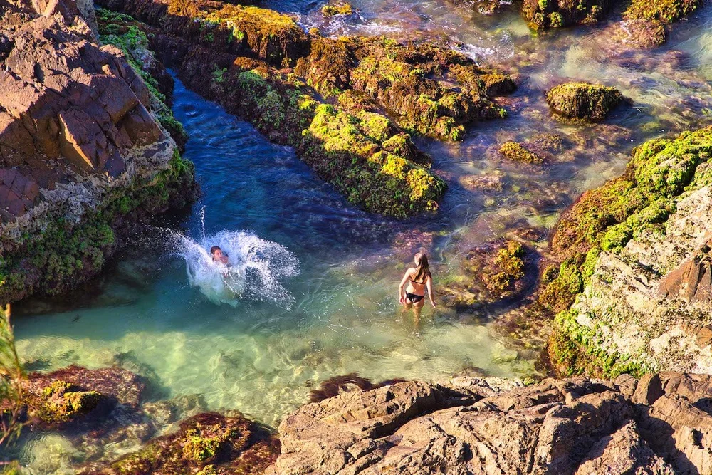 Wayne Budge — Contemporary Art Curator Magazine