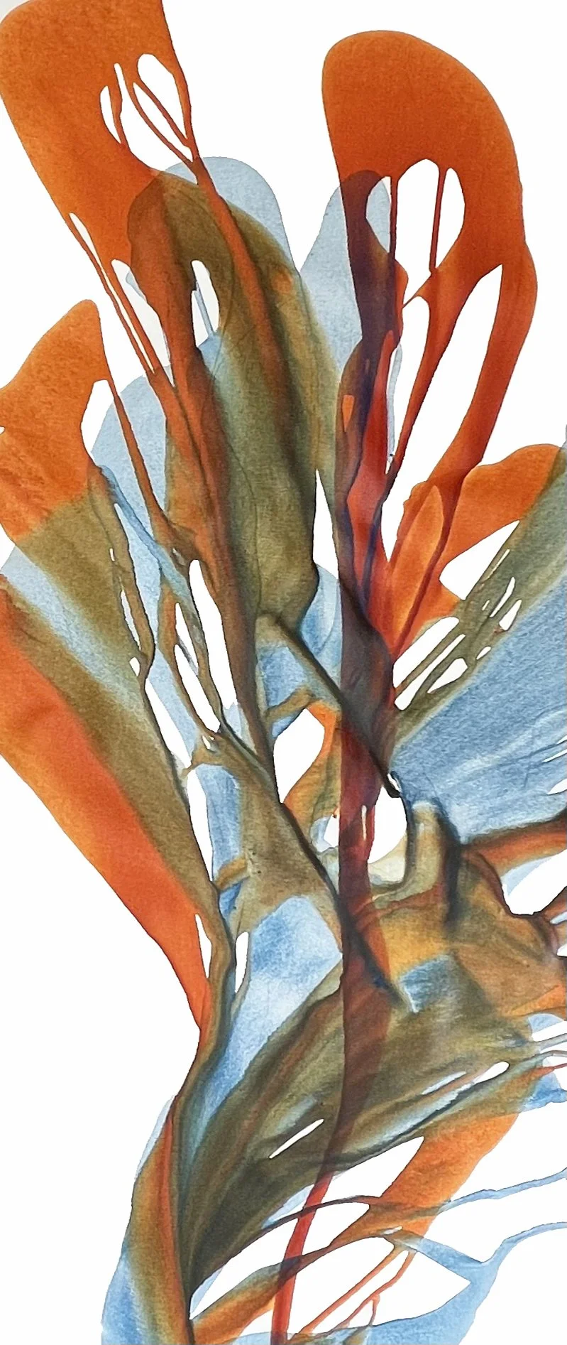 Artist Spotlight - Doreen Wulbrecht — Contemporary Art Curator Magazine
