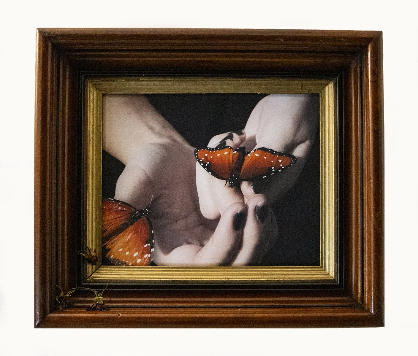 Emily Latimer — Contemporary Art Curator Magazine