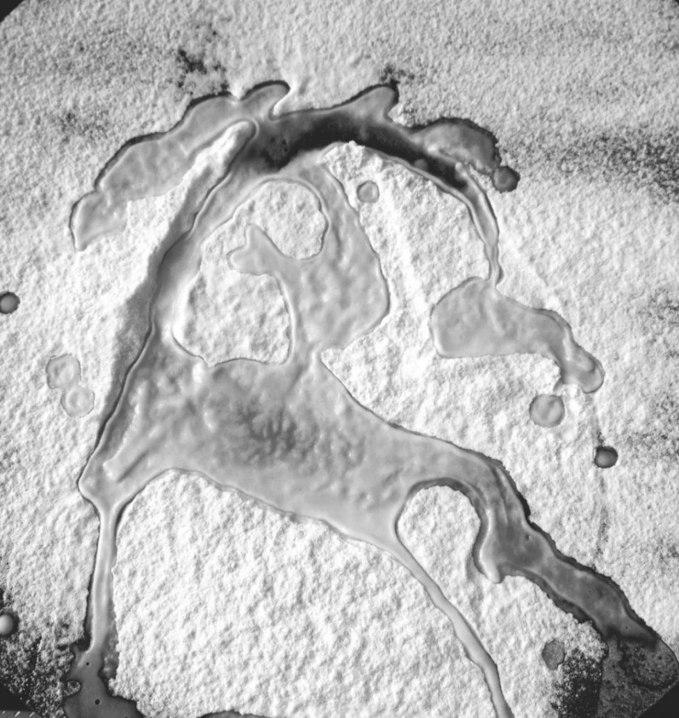 Interview with IRIS — Contemporary Art Curator Magazine