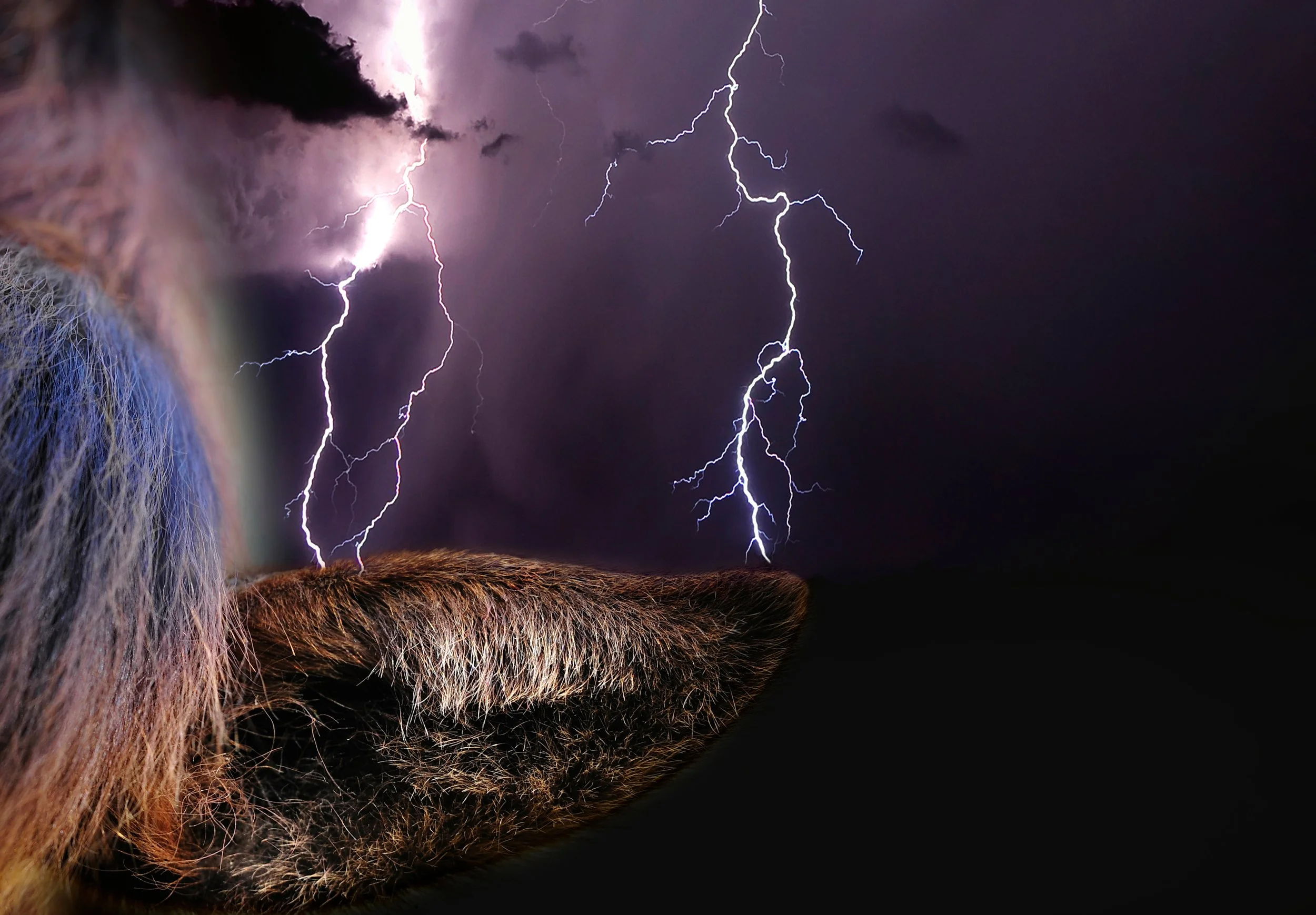 Artist Spotlight - Leo Gesess — Contemporary Art Curator Magazine