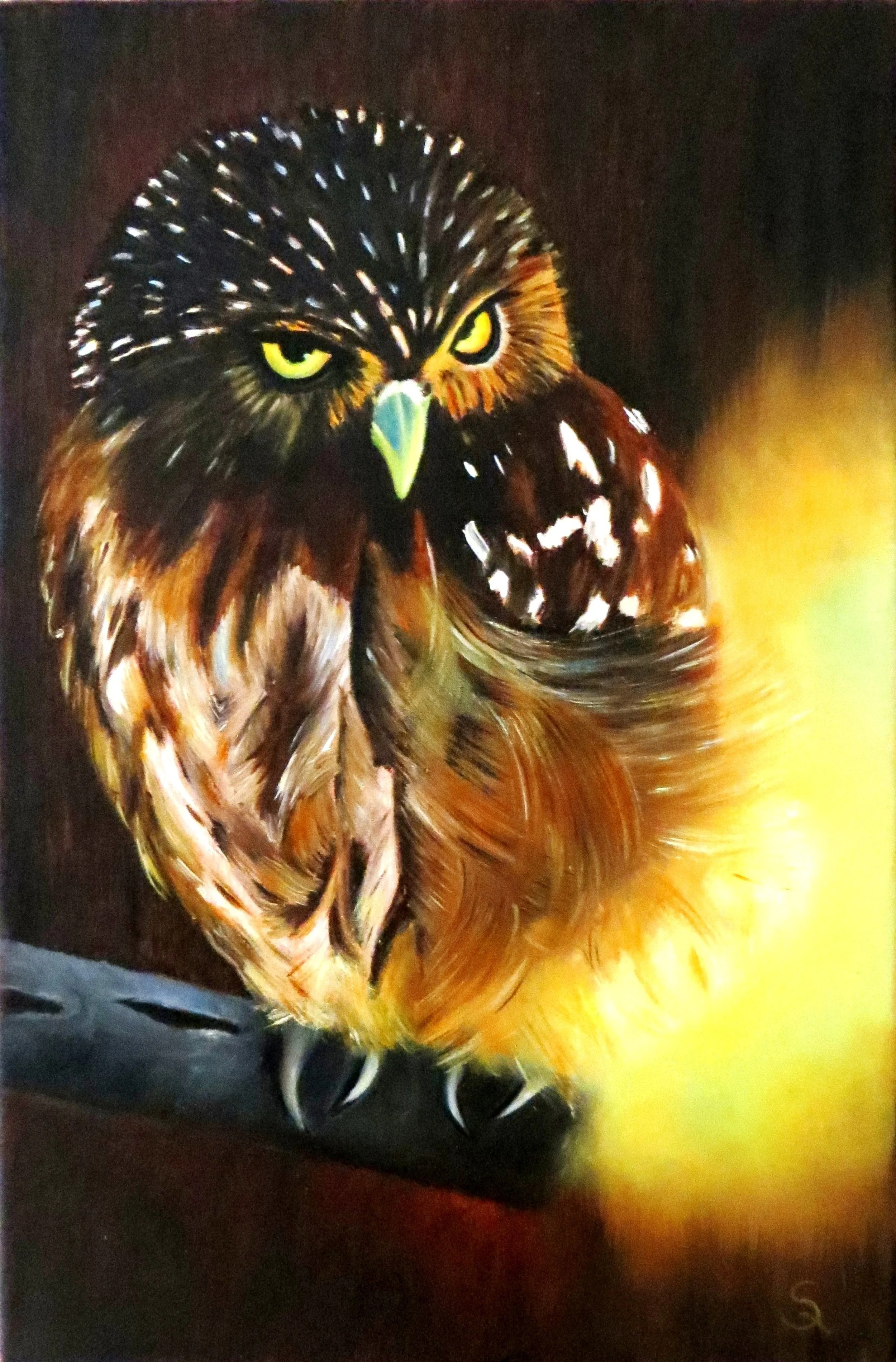 Interview with Steffi Rodigas — Contemporary Art Curator Magazine