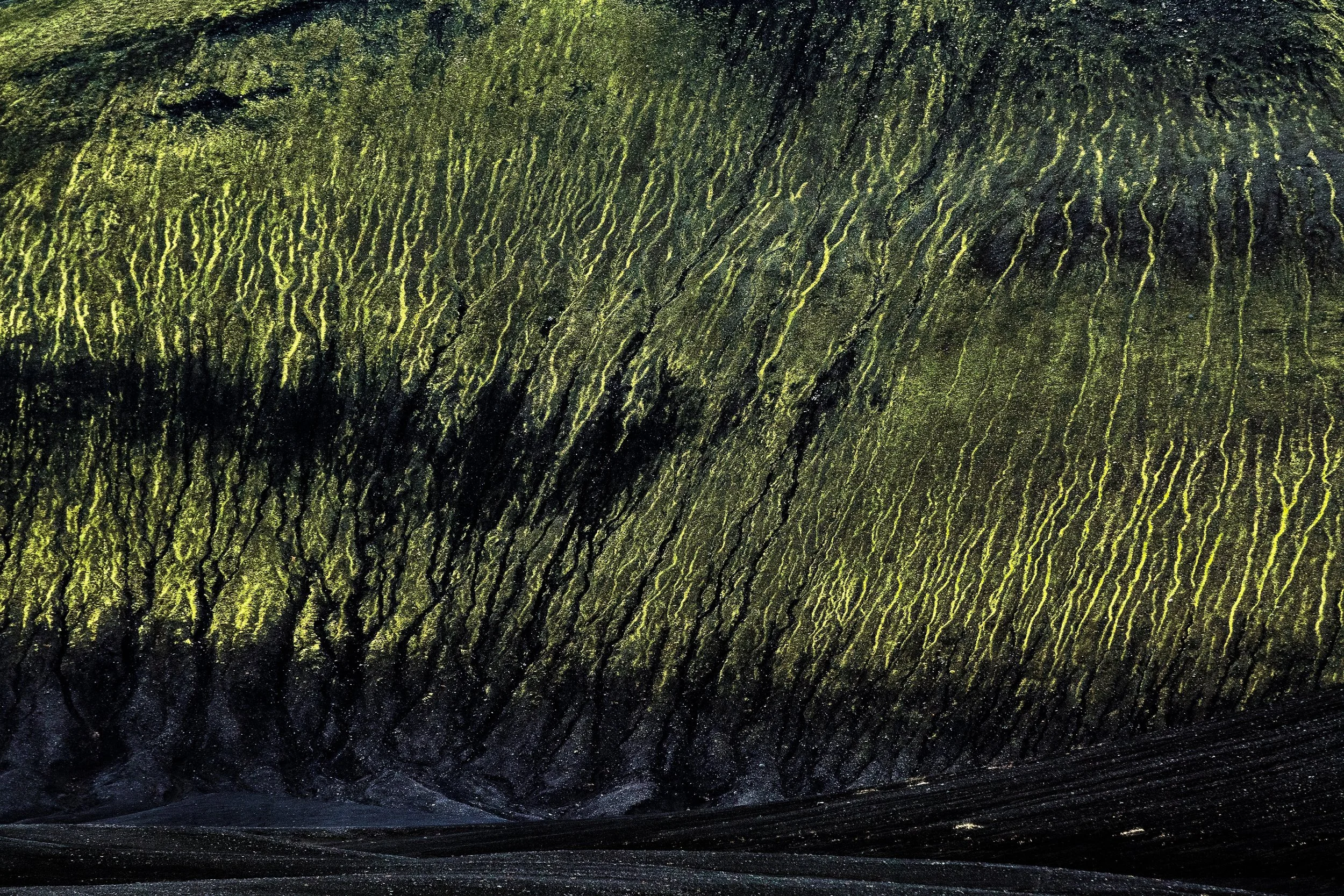 Interview with Frédéric Demeuse — Contemporary Art Curator Magazine