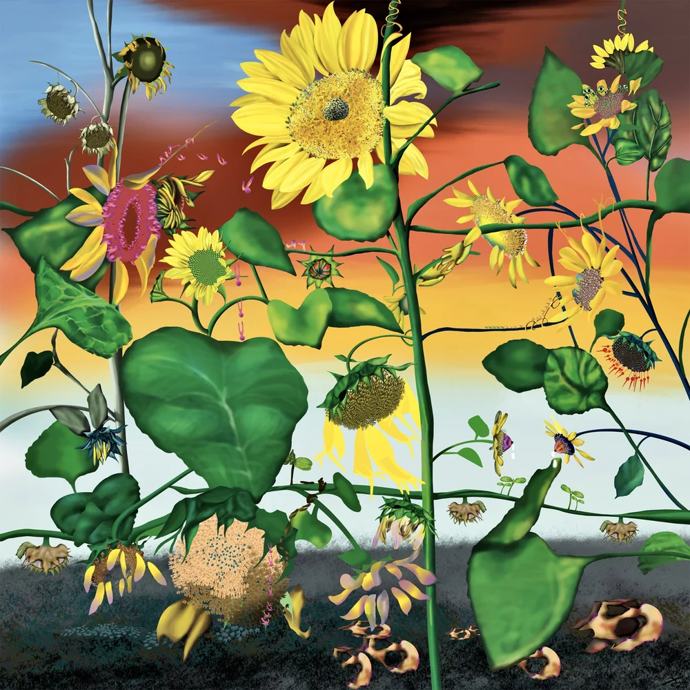 Interview with Jenny Jiyoung Han — Contemporary Art Curator Magazine