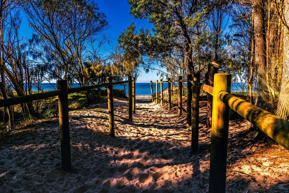 Wayne Budge — Contemporary Art Curator Magazine