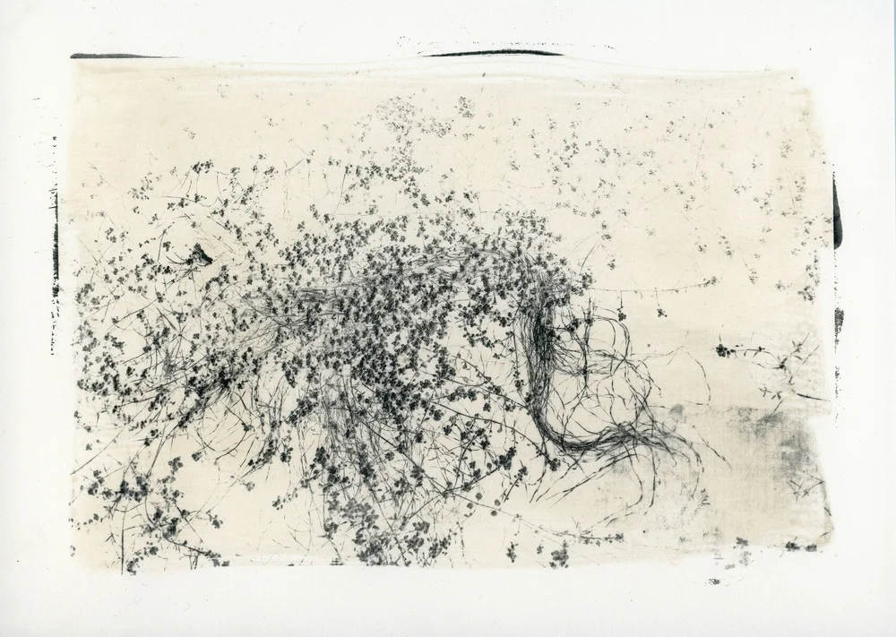 Artist Spotlight - Stefano Paradiso — Contemporary Art Curator Magazine